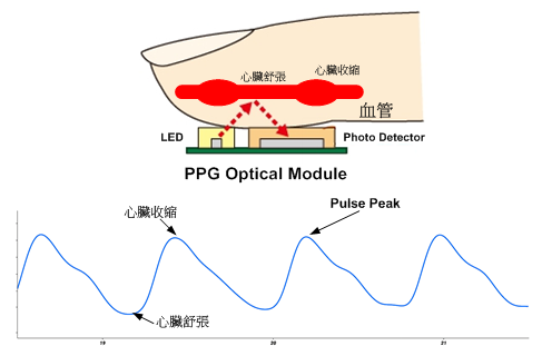 ECG/PPG量测解决方案_ecg+ppg方式测血压-CSDN博客
